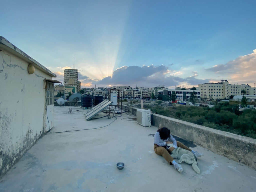 Nimat Natsheh | femLENS